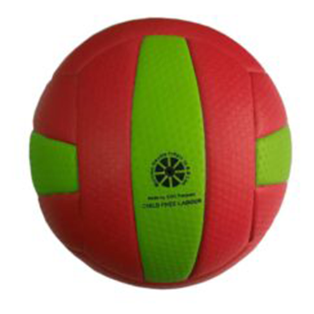 Volley Balls - SIDC